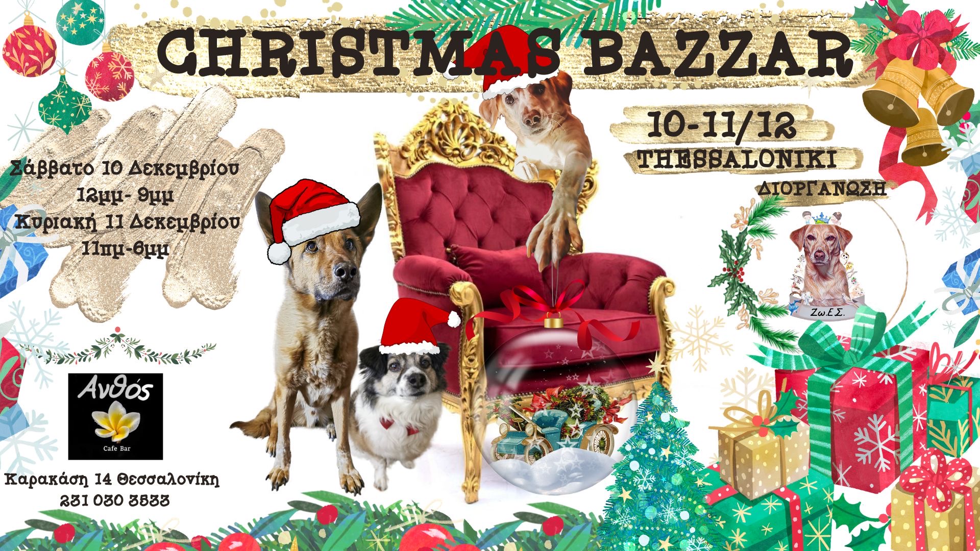 Χριστουγεννιάτικο φιλοζωικό bazaar από τις Ζω.Ε.Σ. στη Θεσσαλονίκη ...